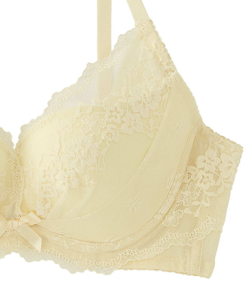 Lift Up Lace Side Slimming Lace Push-Up Bra | aimerfeel